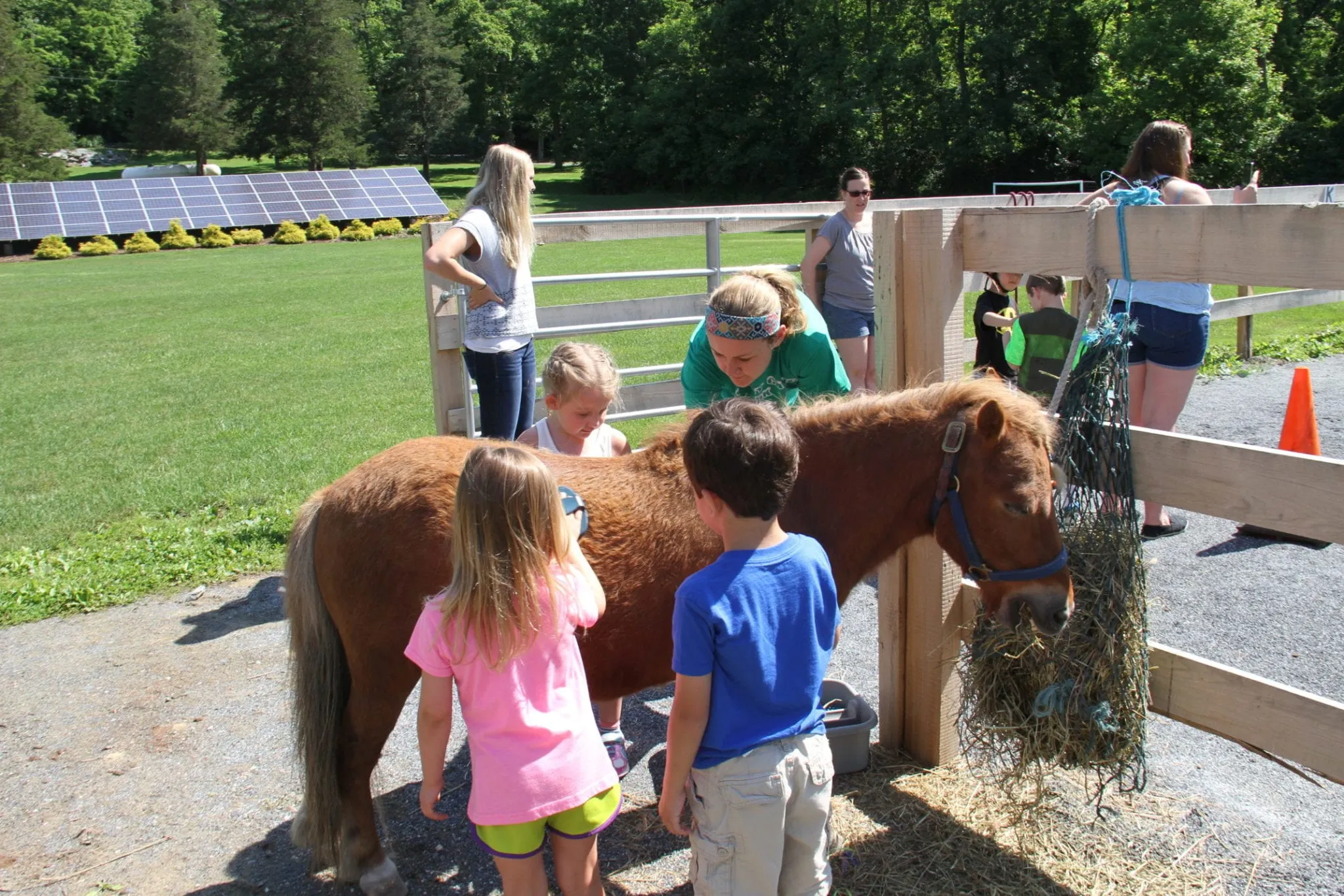 Farm Animal Experience - Refreshing Mountain Retreat & Outdoor ...