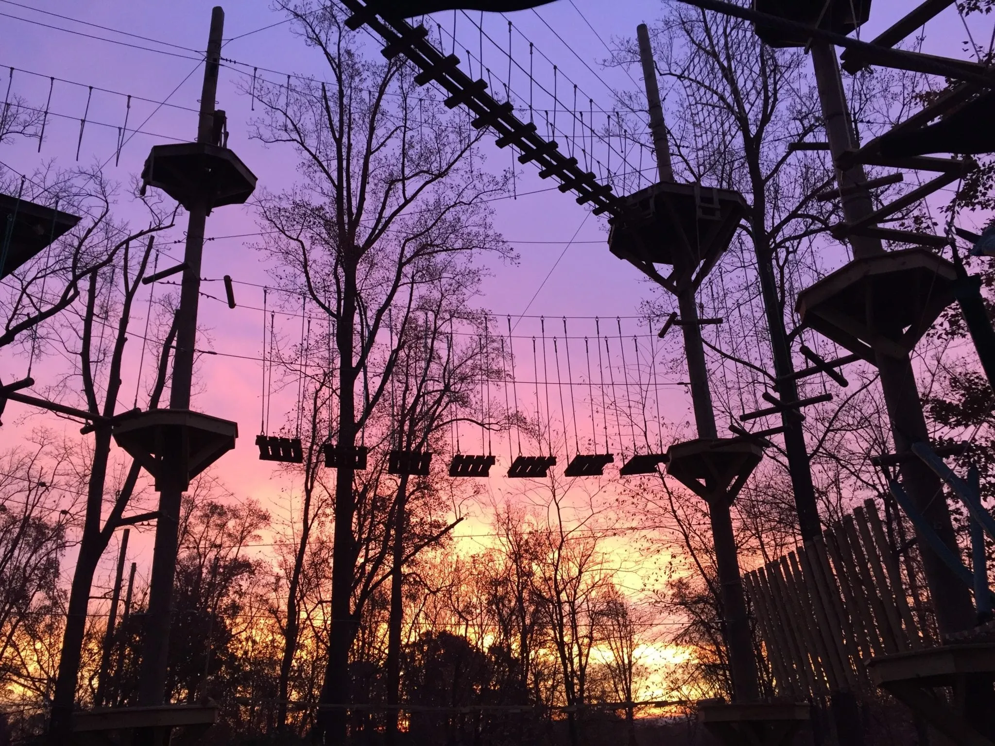 Elevated Obstacle Course | New Attraction | Refreshing Mountain Adventure