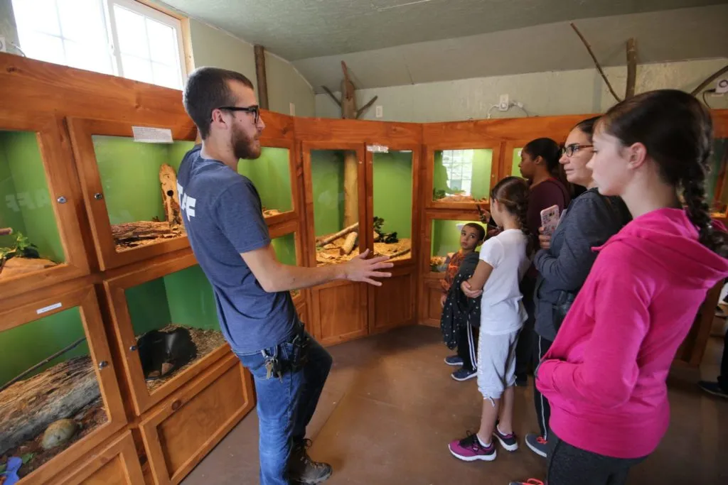 Wildlife Experience - Refreshing Mountain Retreat & Outdoor Adventure ...