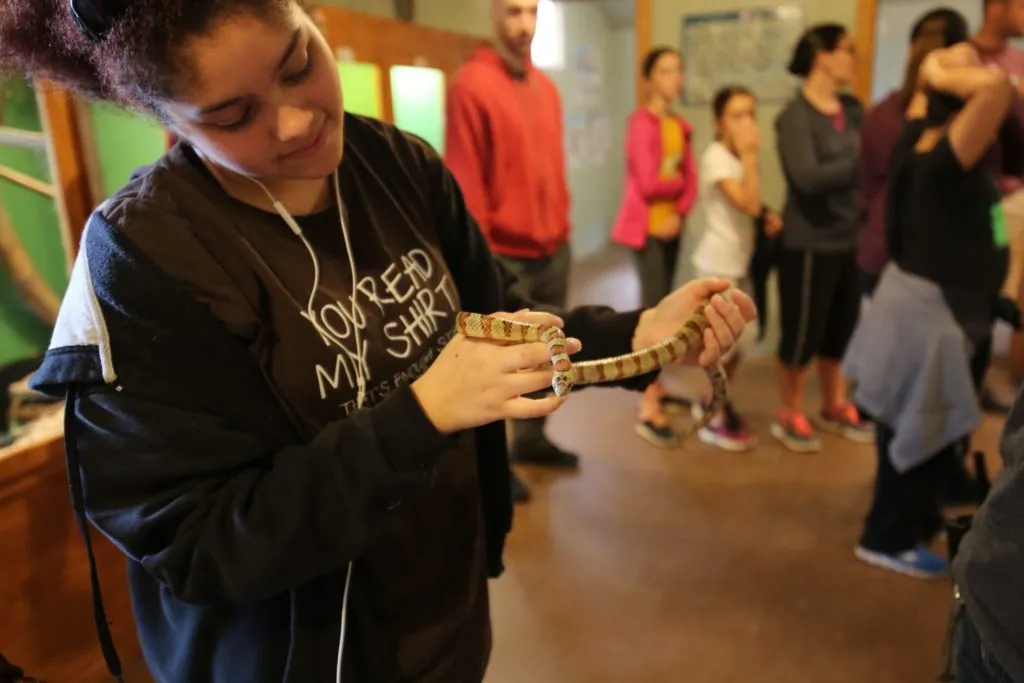 Wildlife Center - Refreshing Mountain Retreat & Outdoor Adventure Center