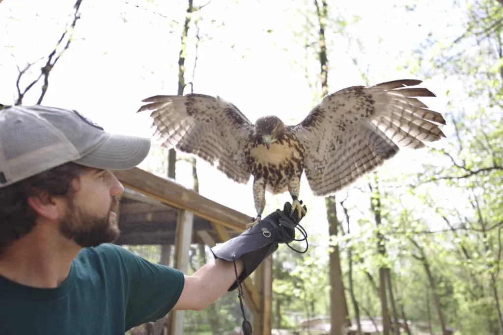 Wildlife & Nature Center | Reptiles, Amphibians, & More | Lancaster, PA