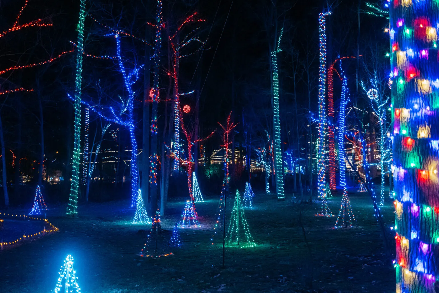 Lancaster, PA's Most Unique Christmas Activities! Christmas Lights ...