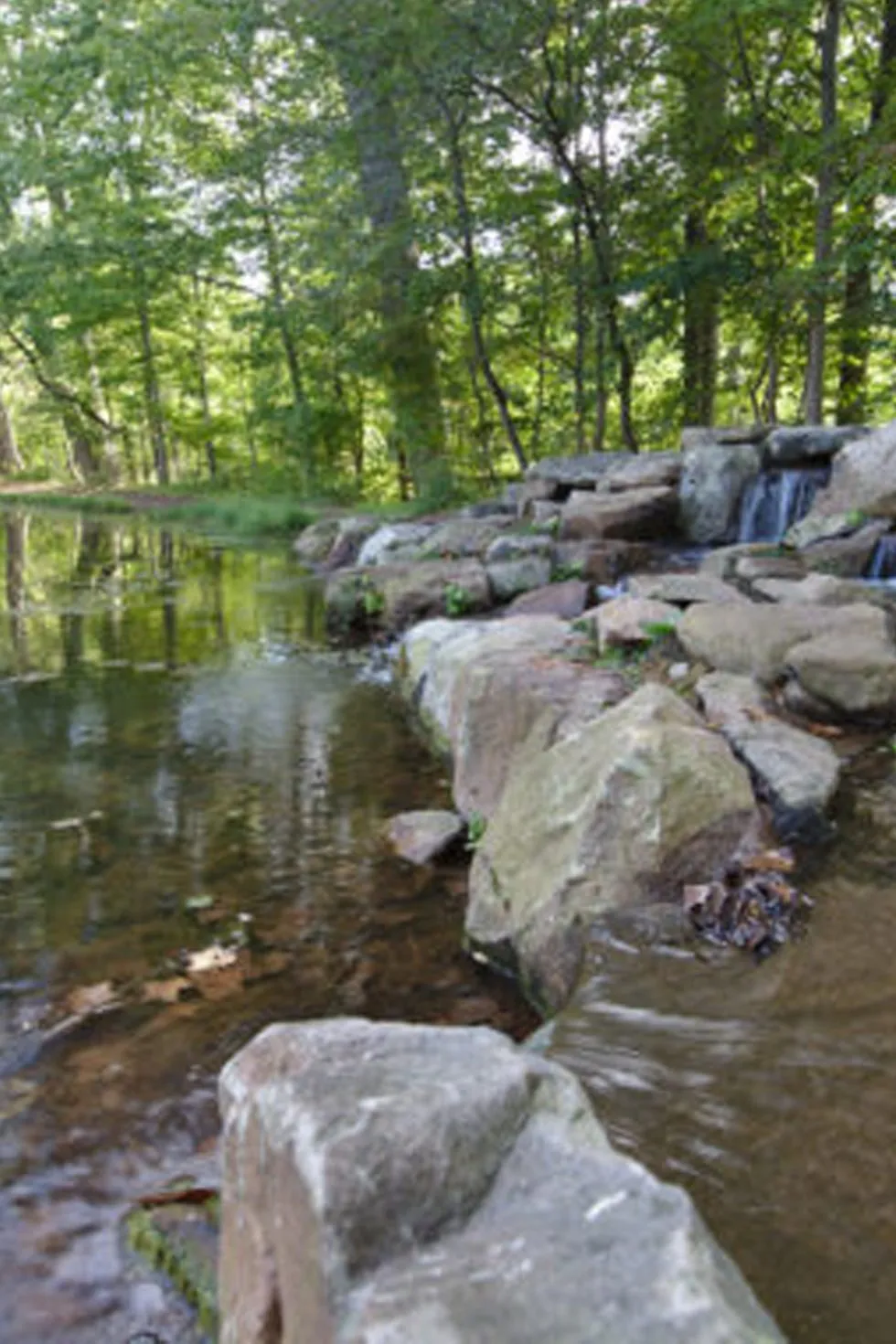 Group Activities | Refreshing Mountain Retreat And Adventure Center