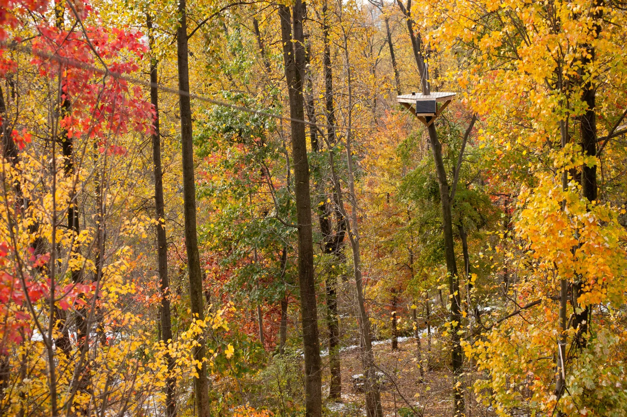 Challenge Adventure Course | Refreshing Mountain Retreat And Adventure ...