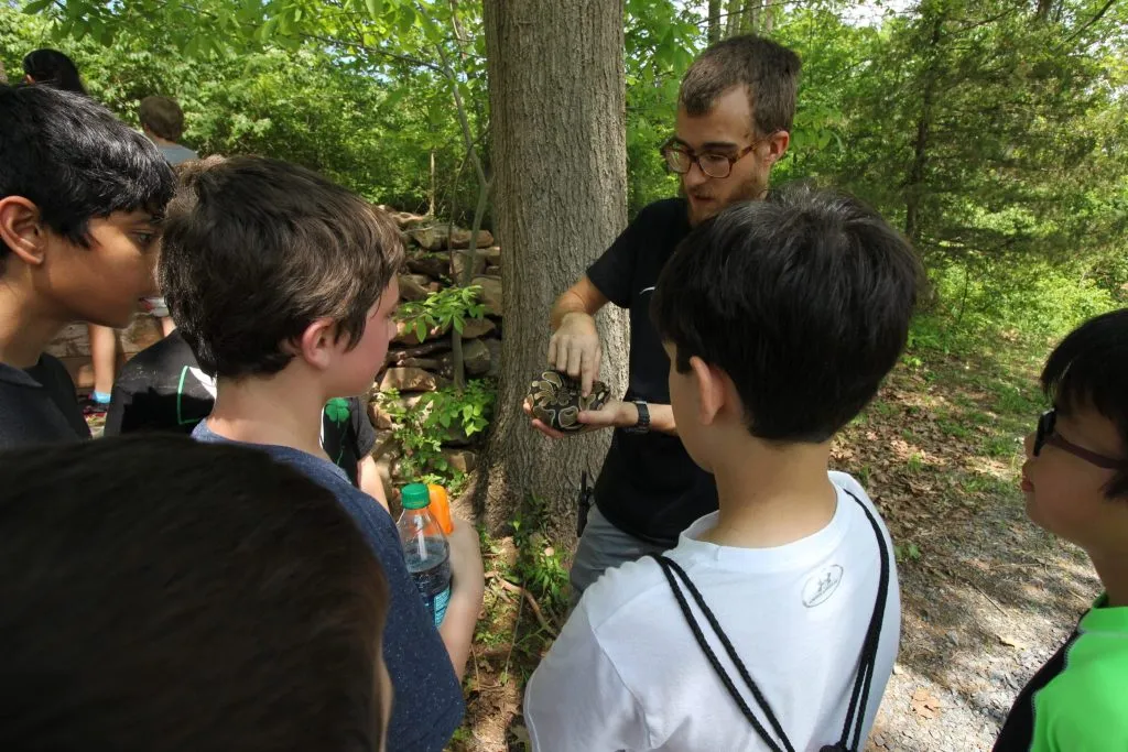 Introducing Nature Programs At Refreshing Mountain | Refreshing ...