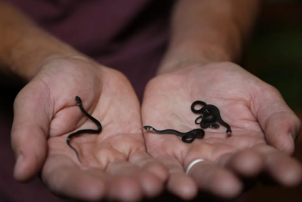 Guide Bio - Mark Layton | Refreshing Mountain Retreat And Adventure Center