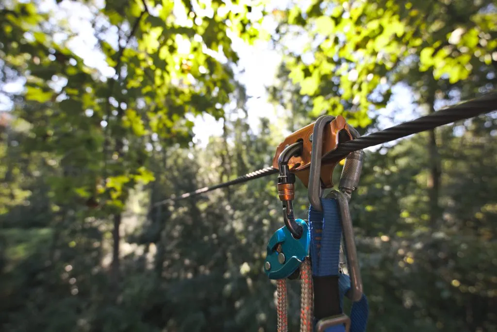 Flesh Eating Bacteria !!! (and Other Zipline Safety Questions Answered ...